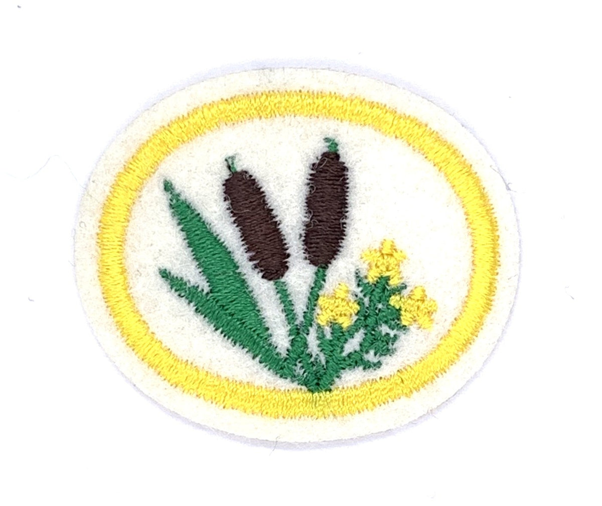 Edible Wild Plants Pathfinder Honour – BUC