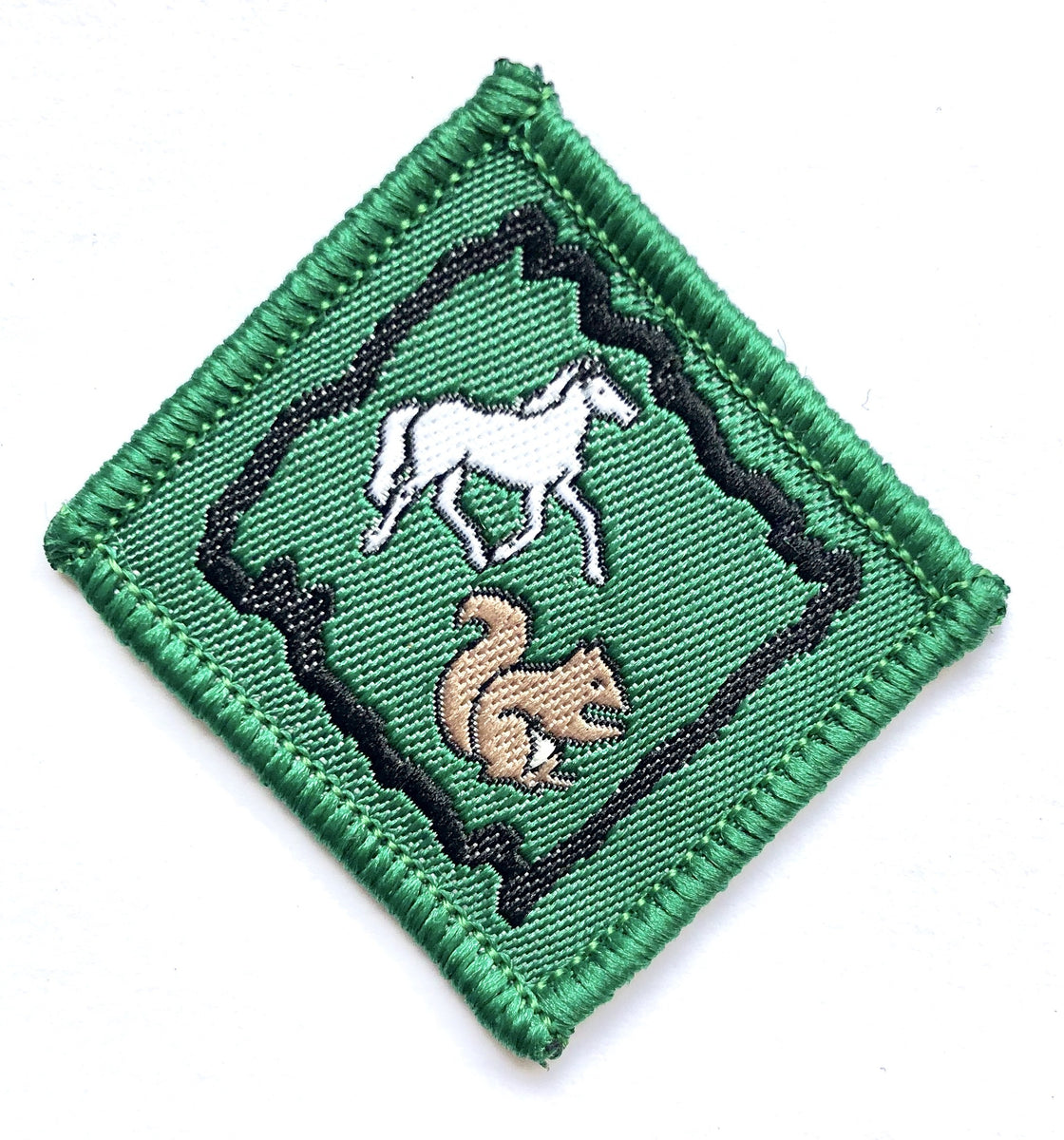 Animals Eager Beaver – BUC